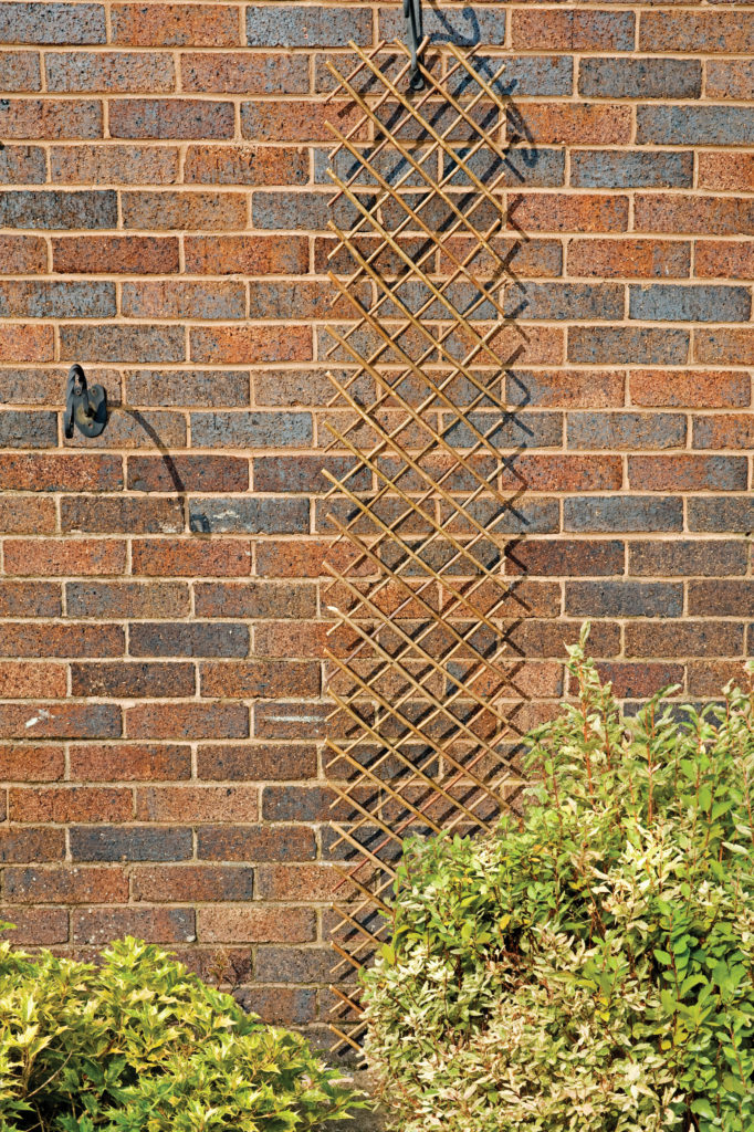 Trellis Support Panels - Mesh4