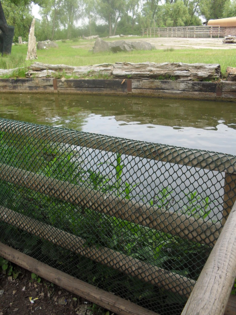 Grass/Turf Reinforcement Mesh (TR-Flex) - Mesh4