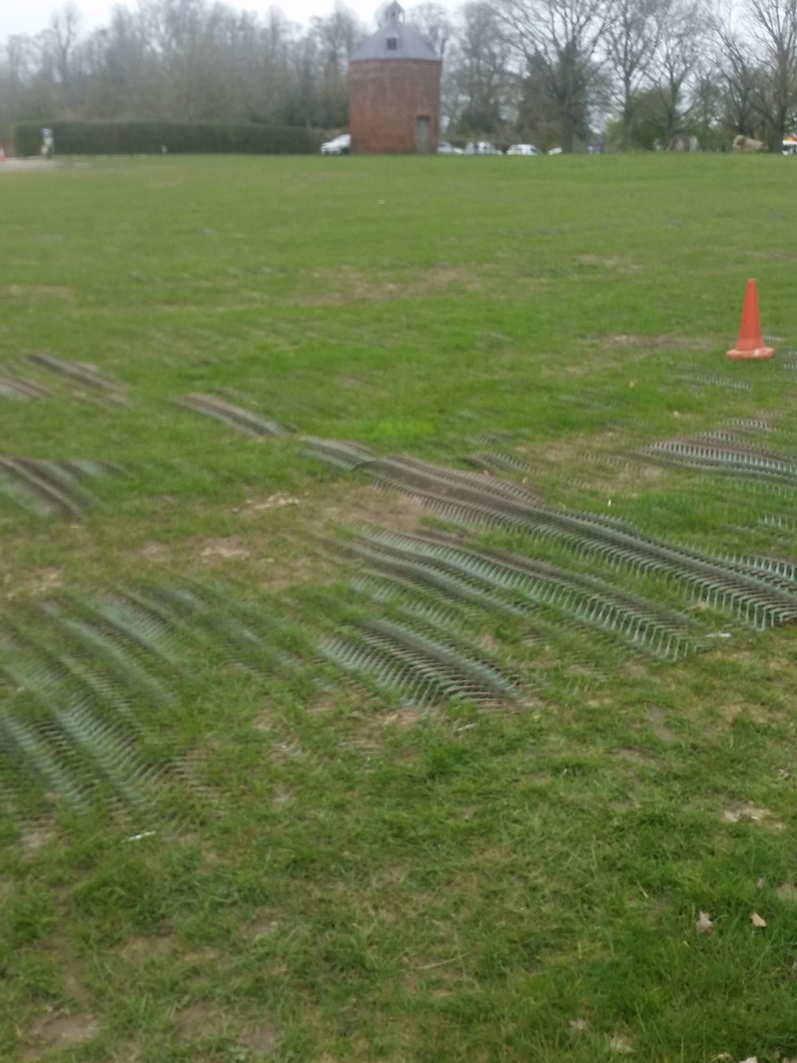 Case Study - Grass Reinforcement Project - Mesh4